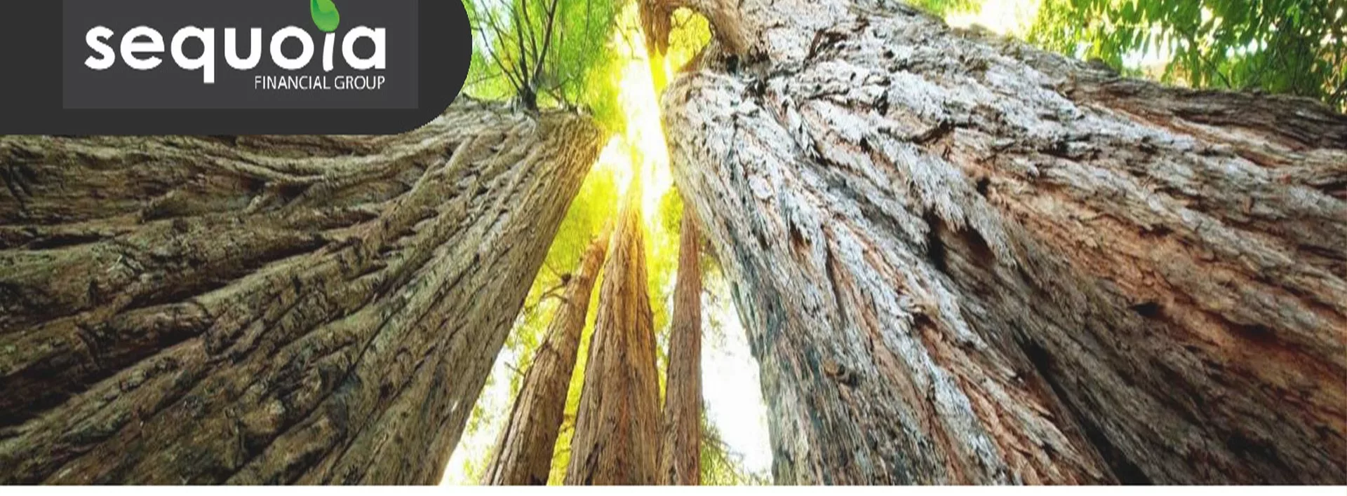 Family Asset Management Joins Sequoia Financia - Future Family Office